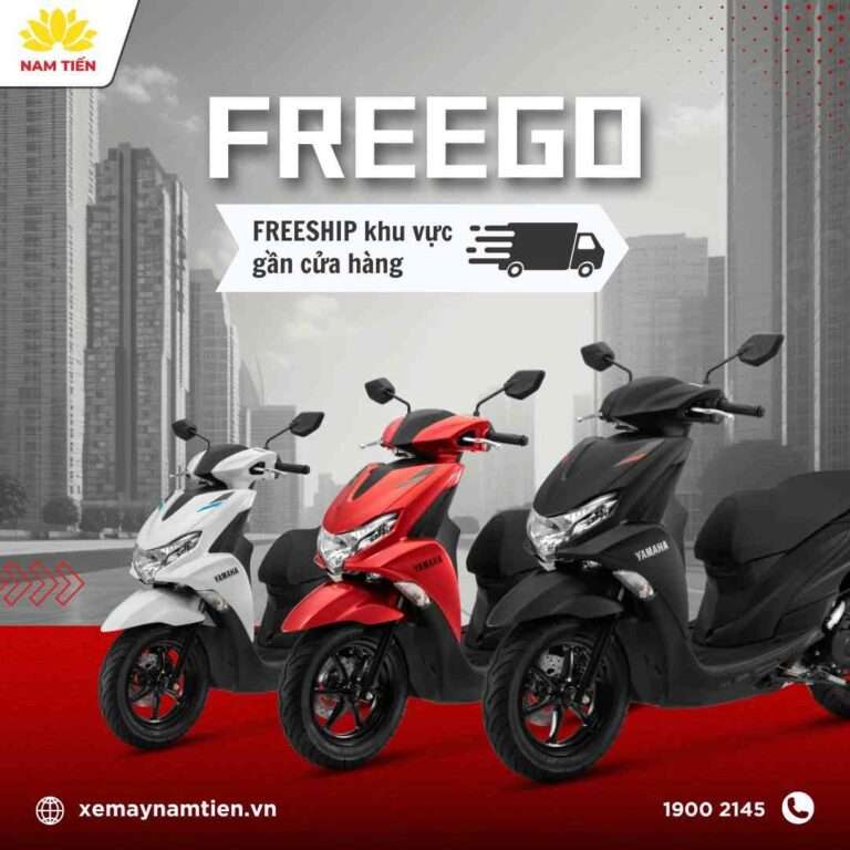 FreeGo 2025 Các Phiên Bản - Xe Máy Nam Tiến
